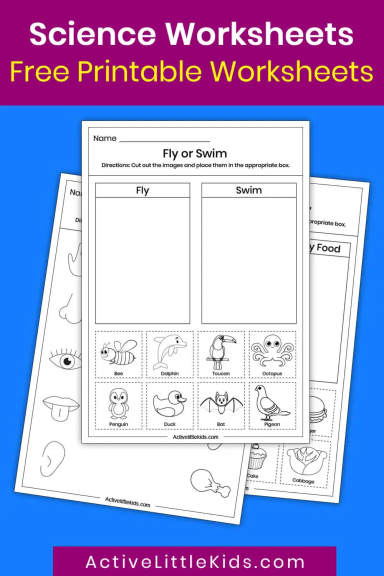Free Science Worksheets for Kindergarten - Active Little Kids